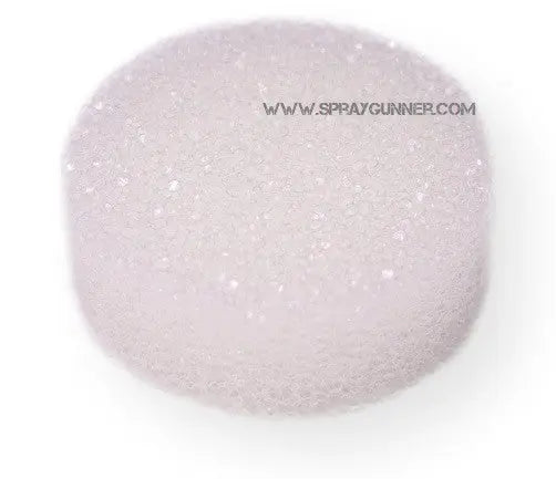 Sparmax Compressor Intake Filters 10 Pack | SprayGunner