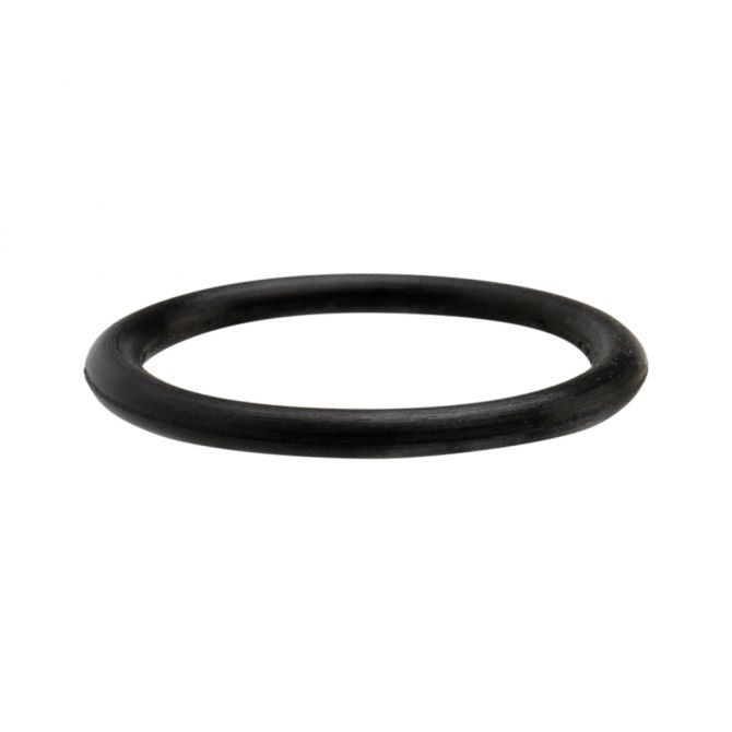 Iwata Cup O-Ring I1507